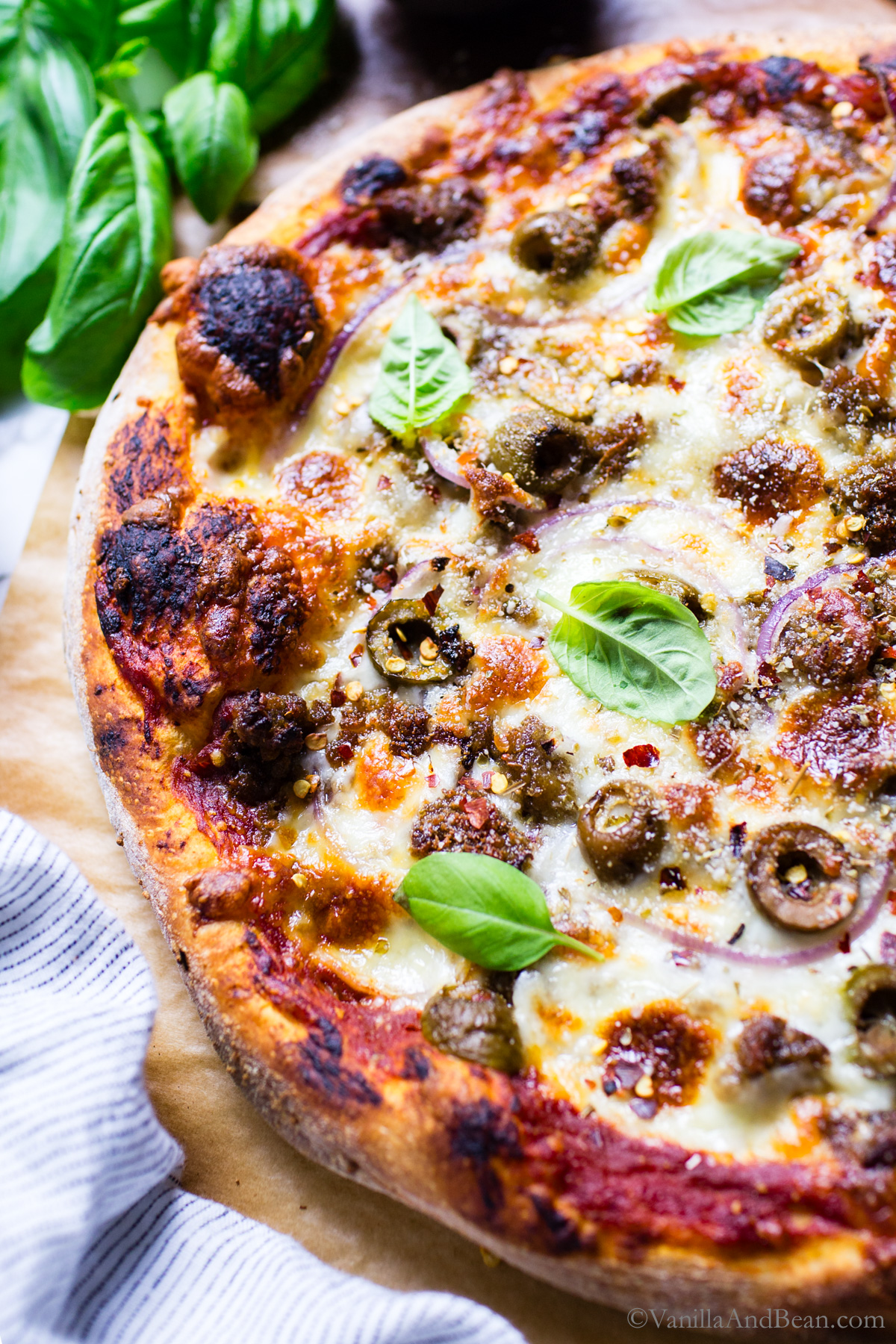 Discarded Sourdough Pizza Dough (same day or overnight!)