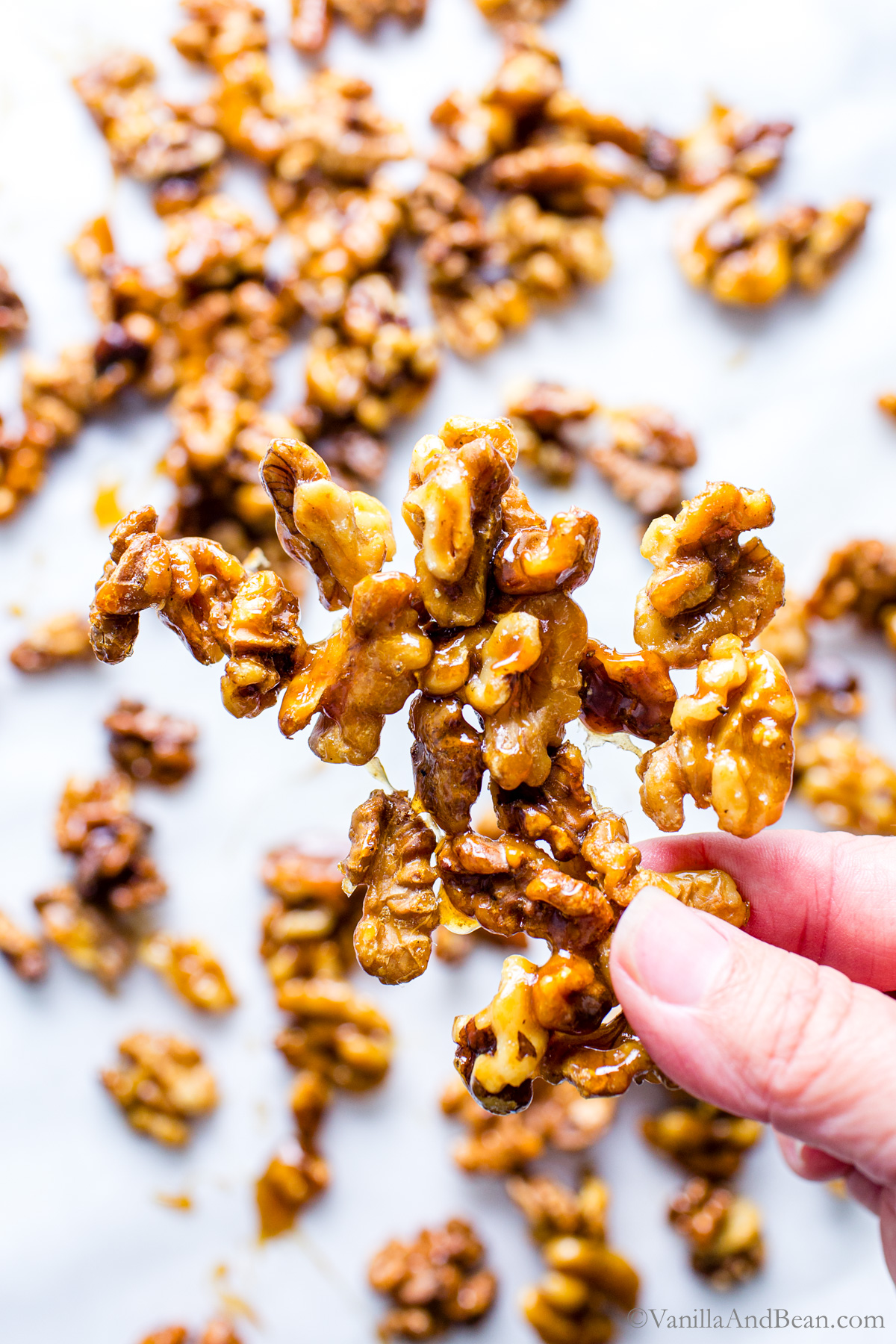 Baked Candied Maple Walnuts | Vanilla And Bean